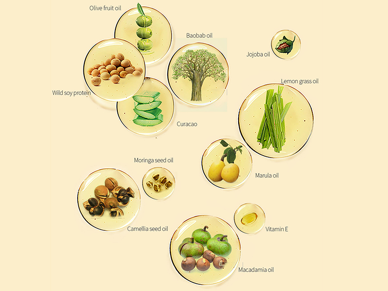 Organic Essential Oil - Natural